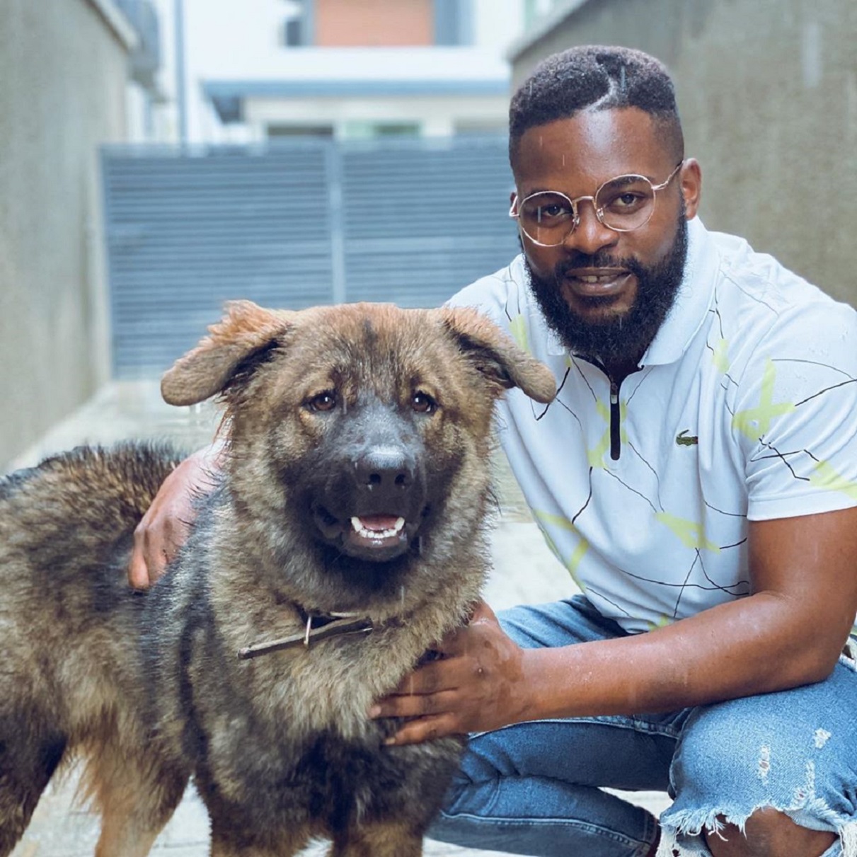 (Hilarious) 2,000 Nigerians Follow Falz’s Cute Canine on Instagram ...